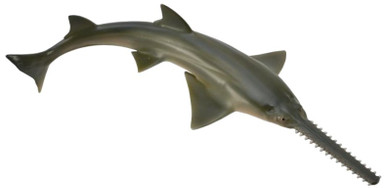CollectA Sealife - Sawfish #88659 - Saw Toothed Nose Fish