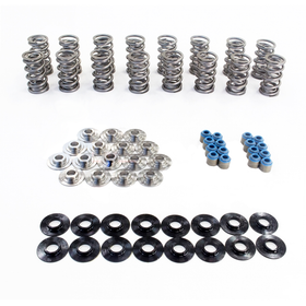 TSP .660" Polished Dual Valve Spring Kit w. Titanium Retainer - LS1/LS2 ...