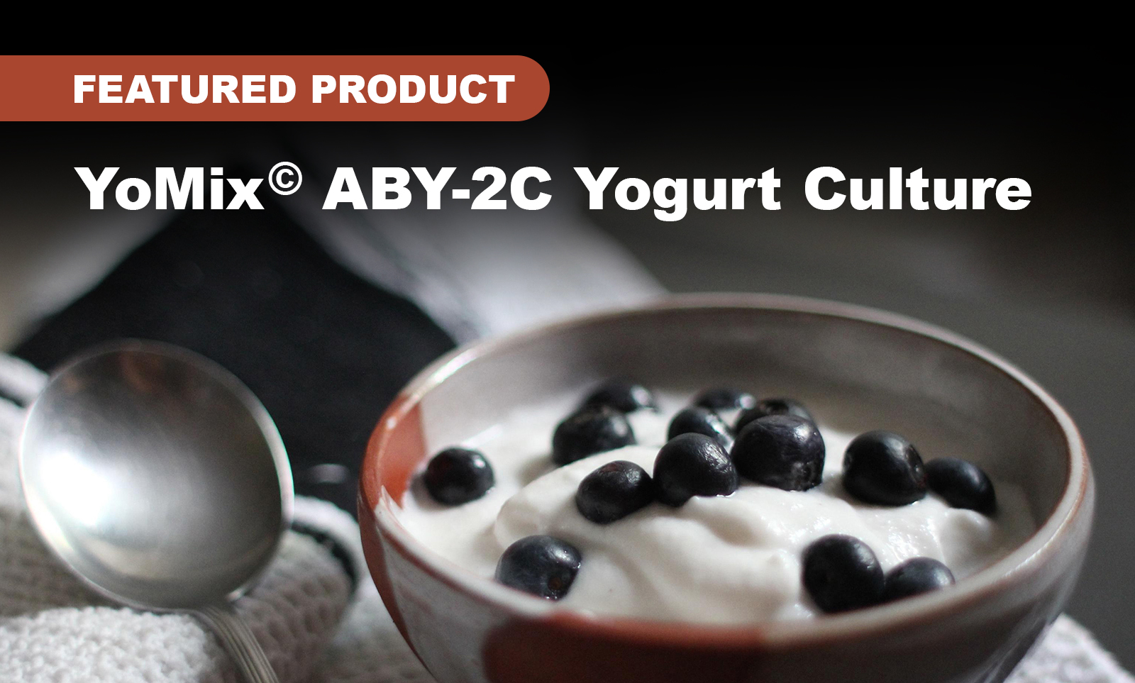 Featured Product: YoMix© ABY-2C Yogurt Culture - Dairy Connection Inc