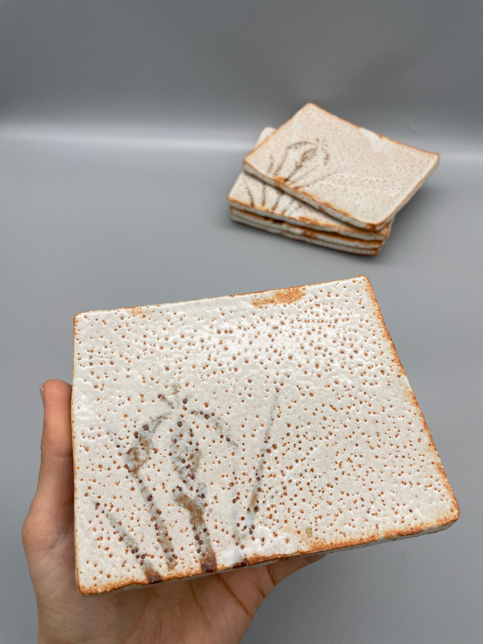 Japanese Shino-yaki Momoyama Small Plates Set - Japanese Natural Stones