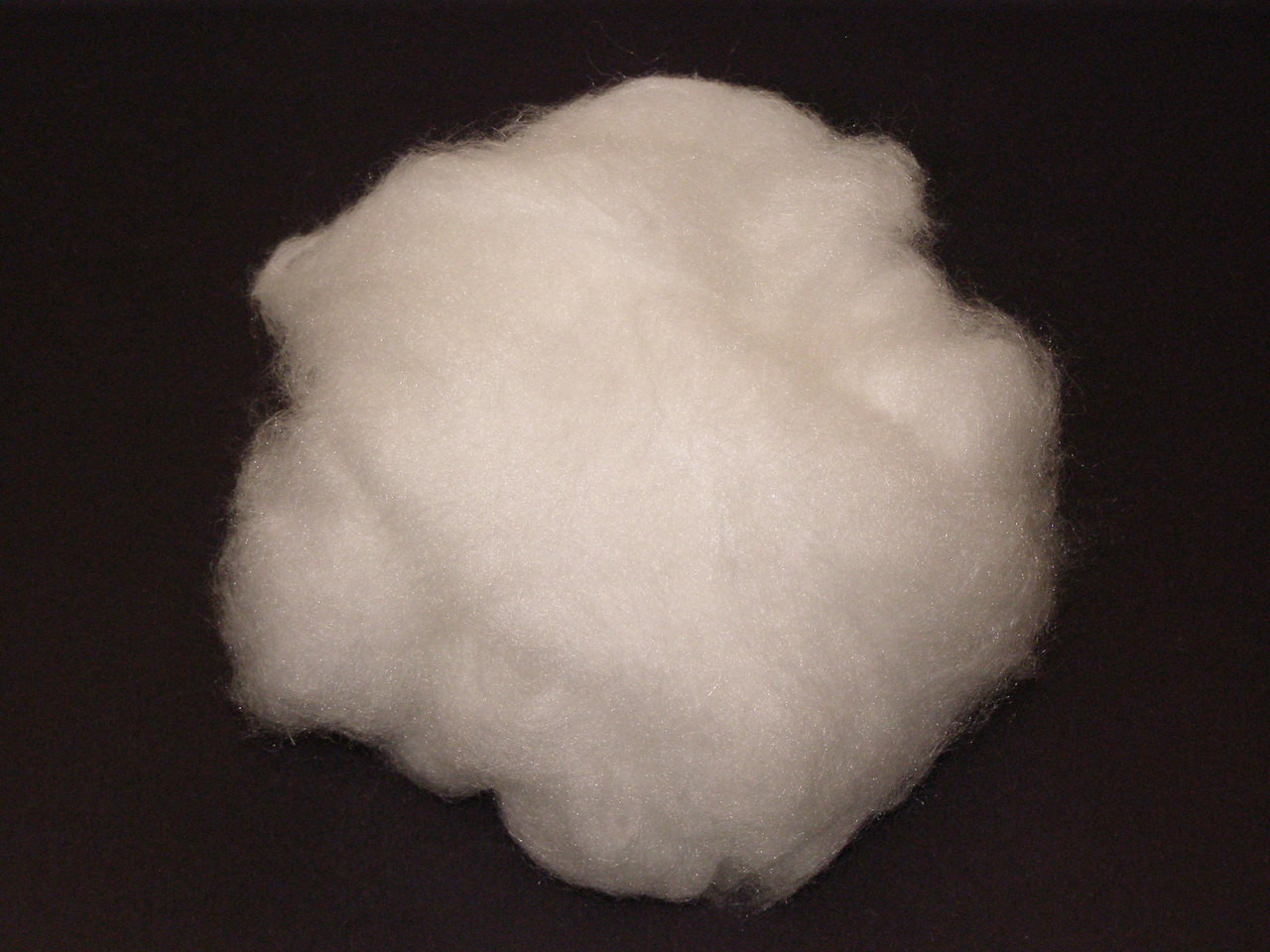 Eucalyptus Fibre (1 kg or more) - Eco Filling Australia