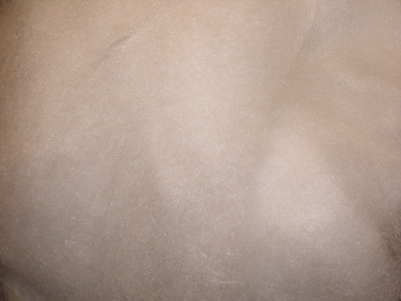 Eucalyptus Fibre (Less than 1 kg) - Eco Filling Australia