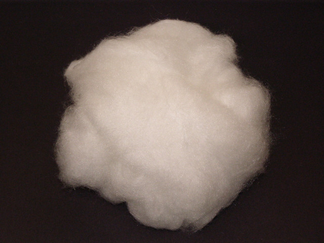 Eucalyptus Fibre (Less than 1 kg) - Eco Filling Australia