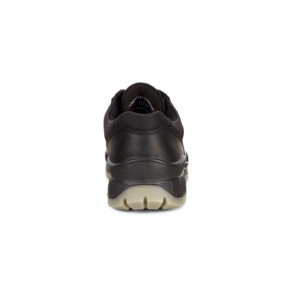 Ecco Men's Track 25 Low GTX - Black - Goodman's Shoes