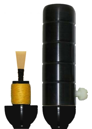 Dunbar Reed Protector