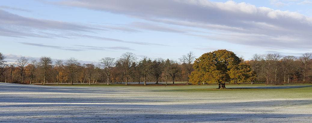 OS Map of Motherwell & Coatbridge | Explorer 343 Map | Ordnance Survey Shop