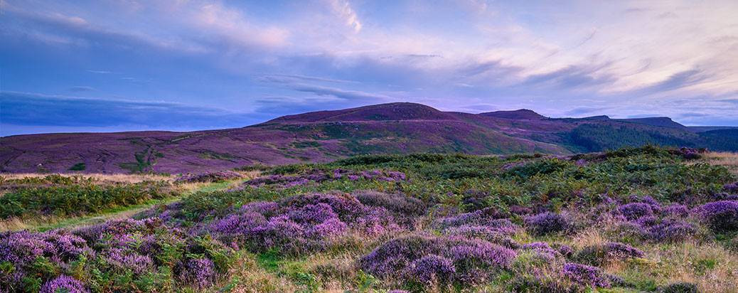 Complete set of 403 OS Explorer maps | Explorer Map | Ordnance Survey Shop