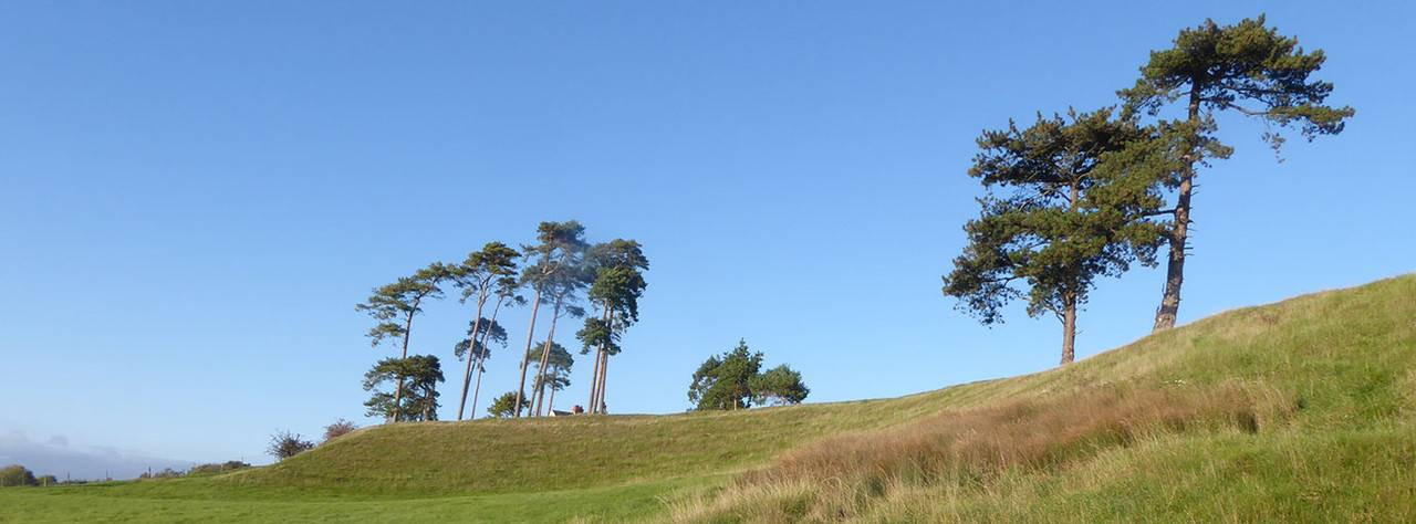OS Map of Haslemere & Petersfield | Explorer OL33 Map | Ordnance Survey ...