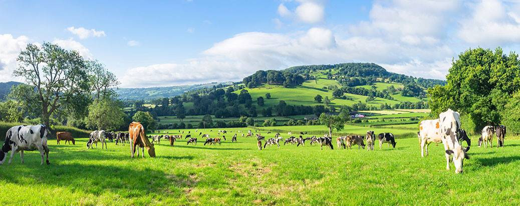 OS Map of Wye Valley & Forest of Dean | Explorer OL14 Map | Ordnance ...