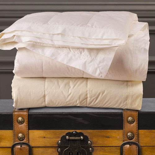 Down Inc. Endure Blanket | Cozytown Linens