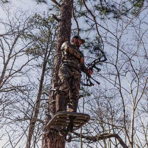Buy Summit Openshot Sound Dampening Climbing Treestand at Nexgen ...