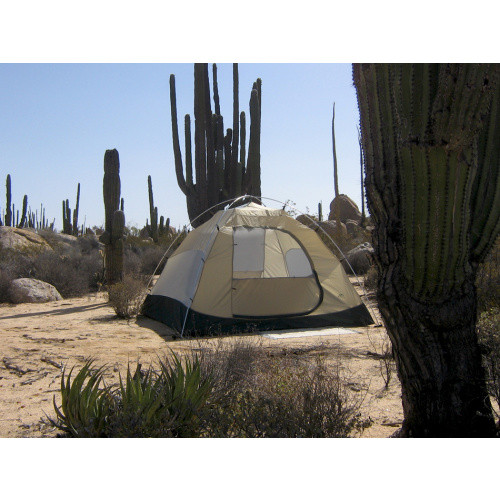 Buy ALPS Mountaineering Meramac 4 Outfitter Tent at Nexgen Outfitters ...