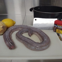 Rattlesnake Cooked Two Ways - Cooking what you harvest - Nexgen Outfitters