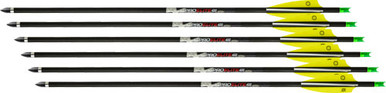 Buy TenPoint Pro Elite 400 20" Crossbow Bolts Alpha Nock 6-Pack at ...