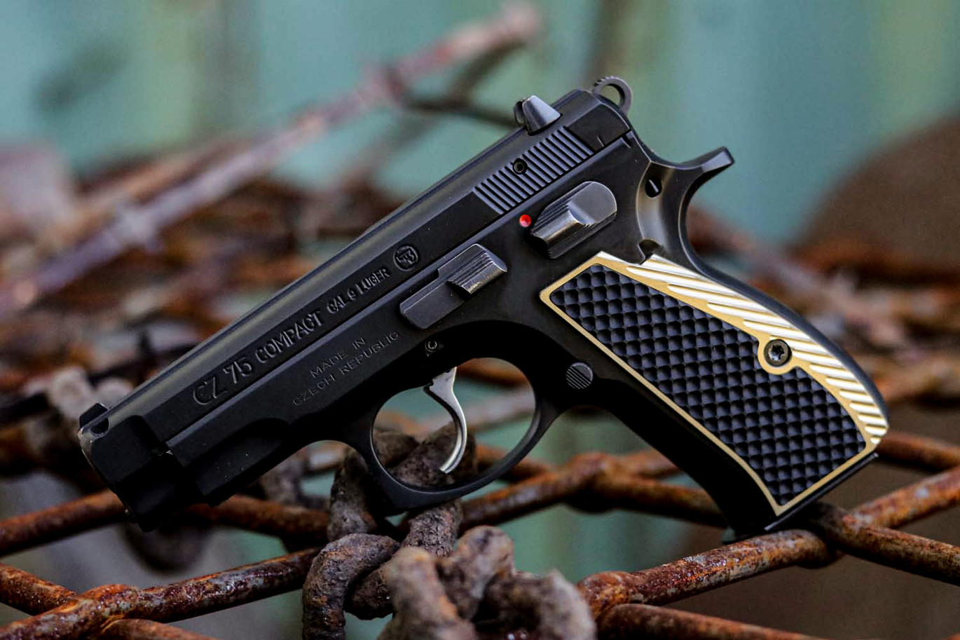 CZ Shadow 2 Palm Swell Bogies G10 Grips