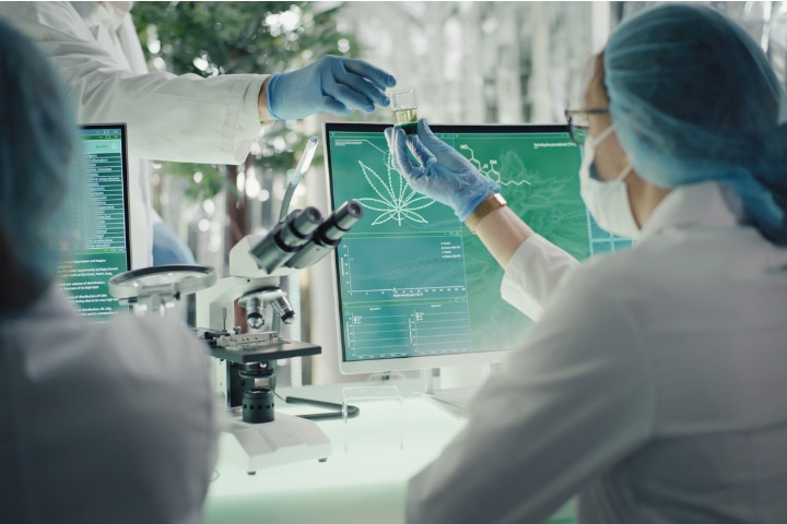 What’s the Difference between Marijuana vs. CBD? - Science-Rite CBD