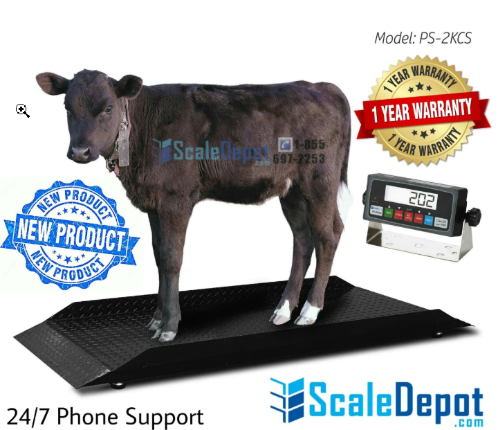 5 Important Reasons You Must Weigh Your Livestock - Scale Depot