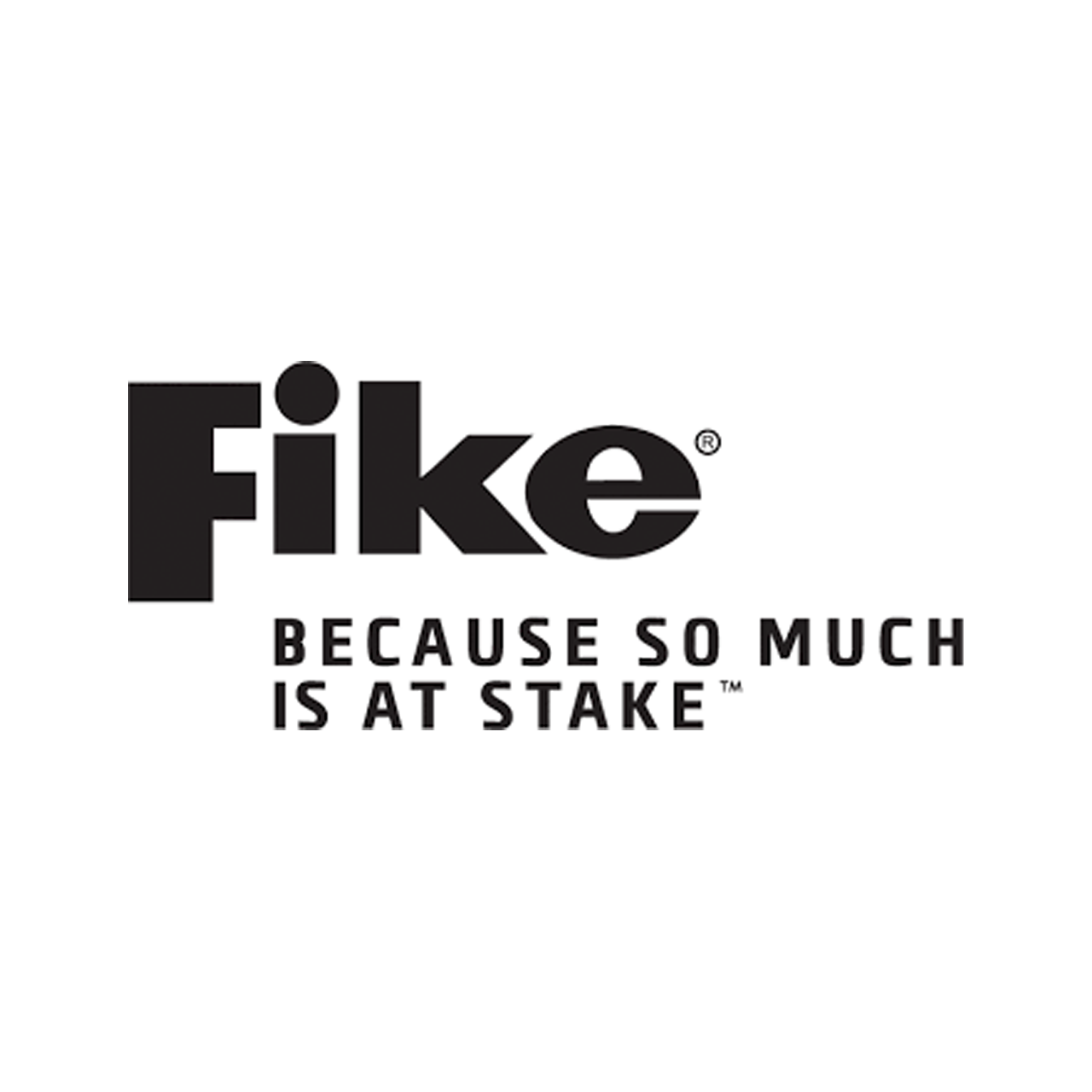 Fike Spares Pack - Videcon