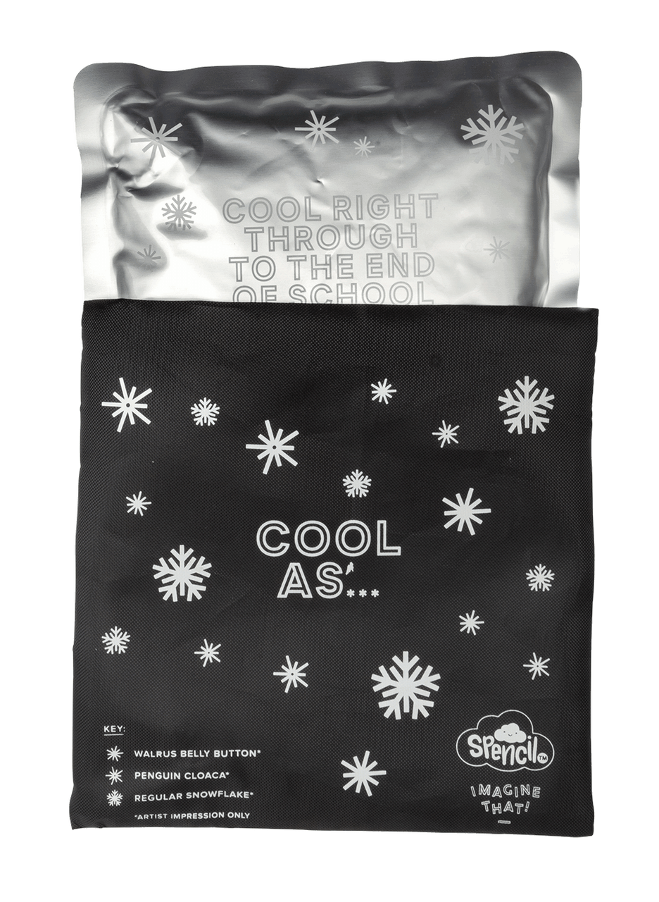 Chill pack store