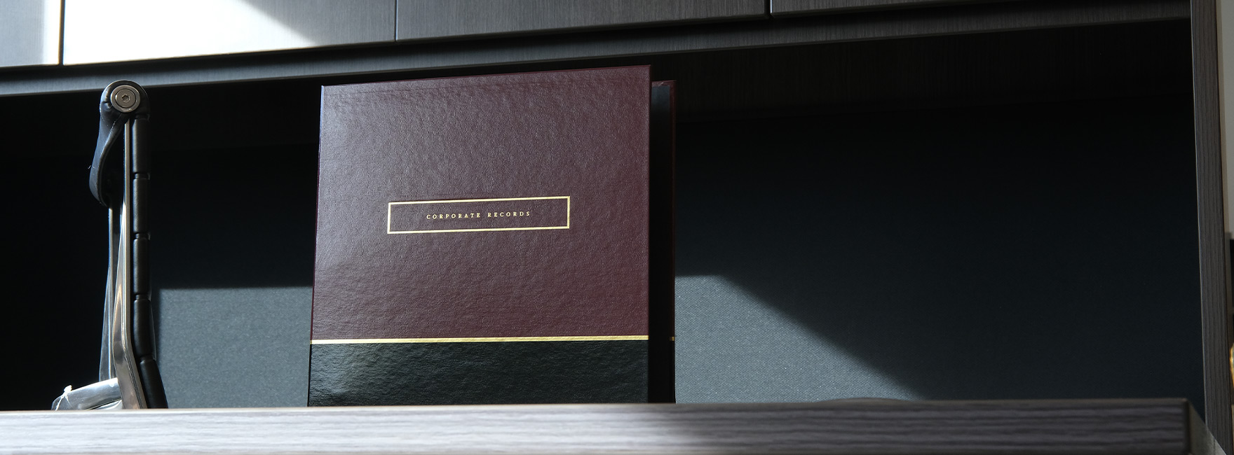 Setting Up a Corporate or LLC Kit (And Why It Matters) - Bindertek