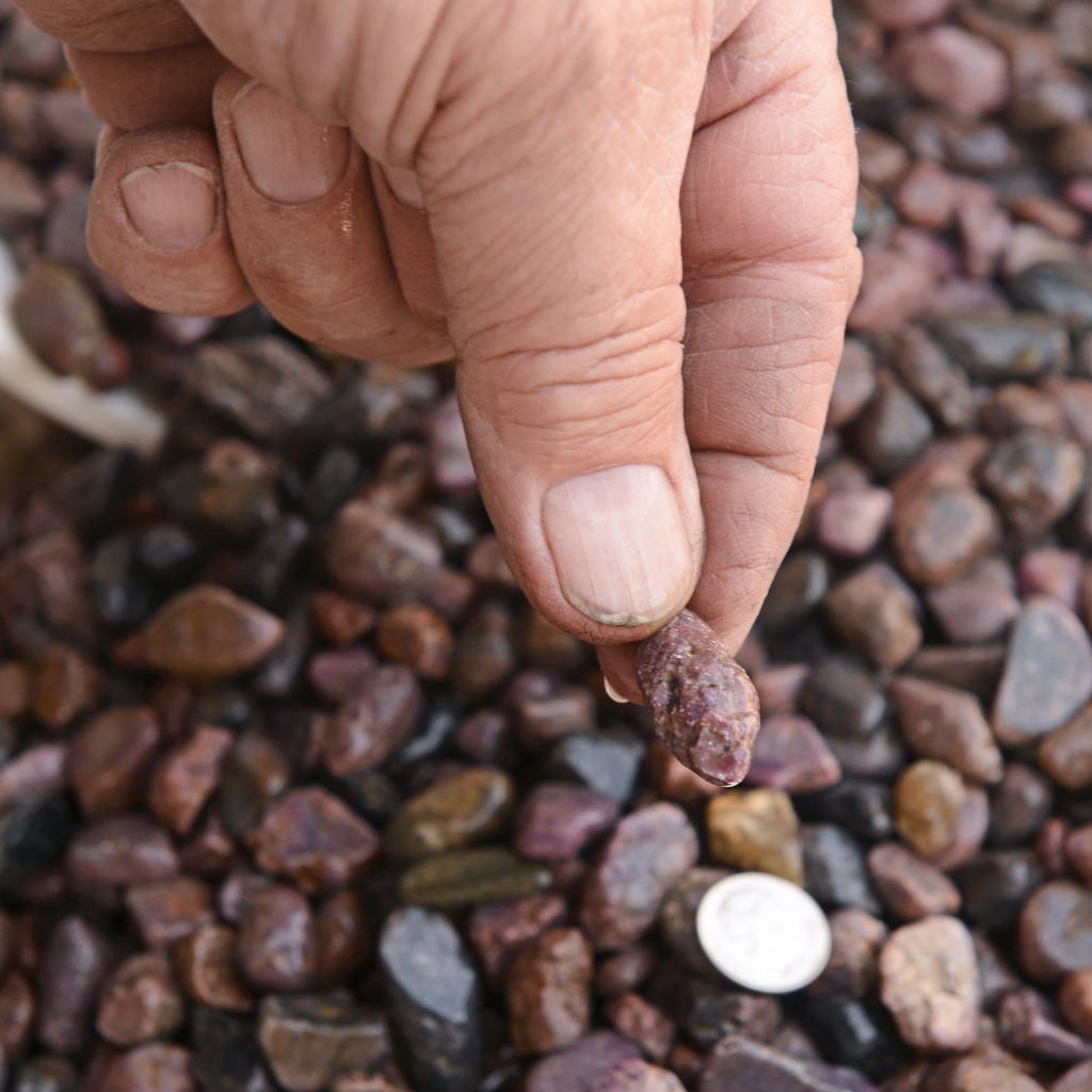 Medium Rough Burmese Ruby Nuggets 27022