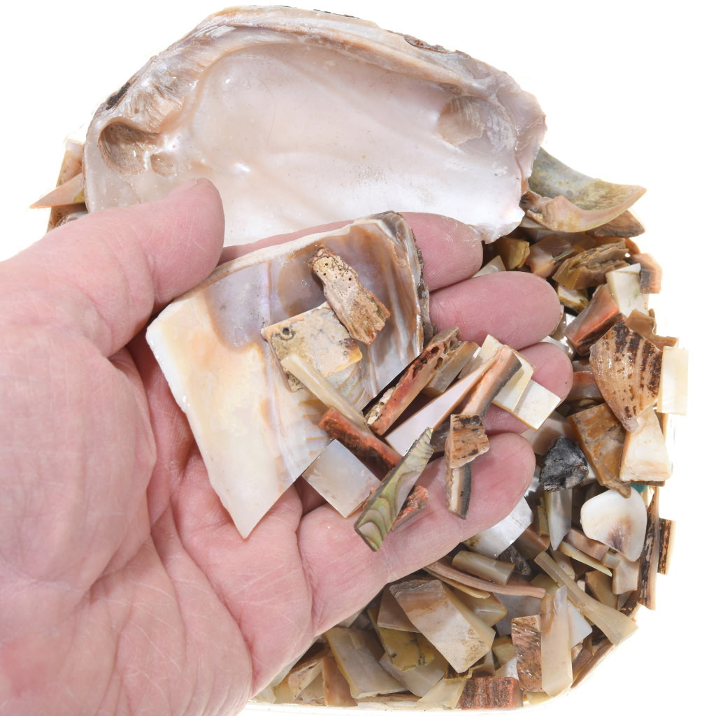 Mother of Pearl Shell Lapidary Material Slices Chips 1/4 Pound 37079