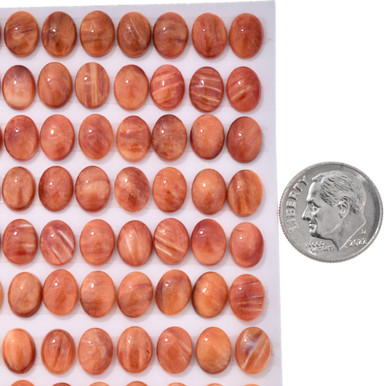 Spiny oyster cabochons store