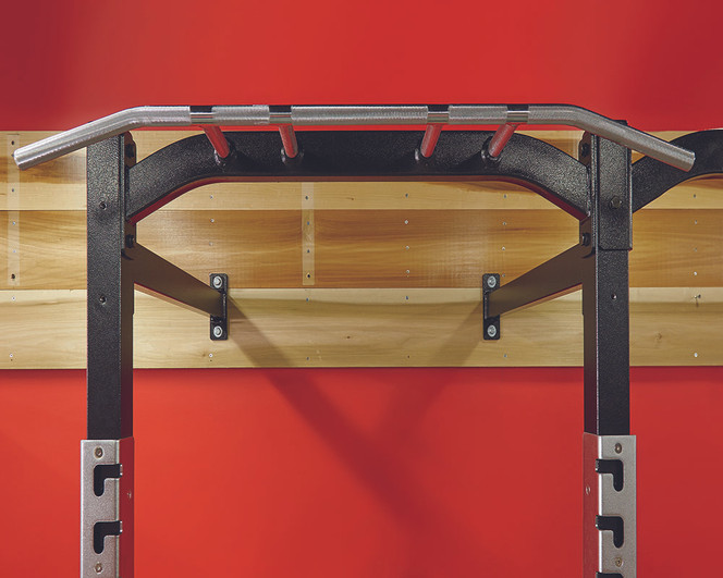 PB Extreme Wall Mounted Victory Rack