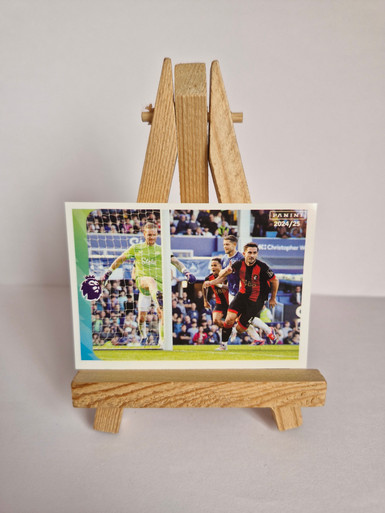 #313 Cook (AFC Bournemouth v Everton) Panini Premier League 2025 ...