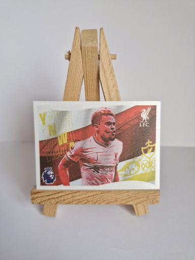 #381 YNWA YNWA YNWA (Liverpool) Panini Premier League 2025 Sticker ...