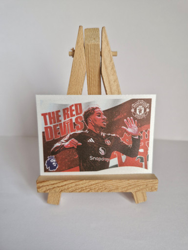 #439 The Red Devils (Manchester United) Panini Premier League 2025 ...