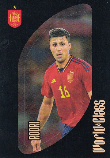 #342 Rodri - LINE UP (Spain) Panini World Class 2024 Sticker Collection ...