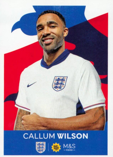 #29 Callum Wilson Panini/ M&S Food Official England sticker collection ...