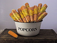 Popping Corn on the Cob