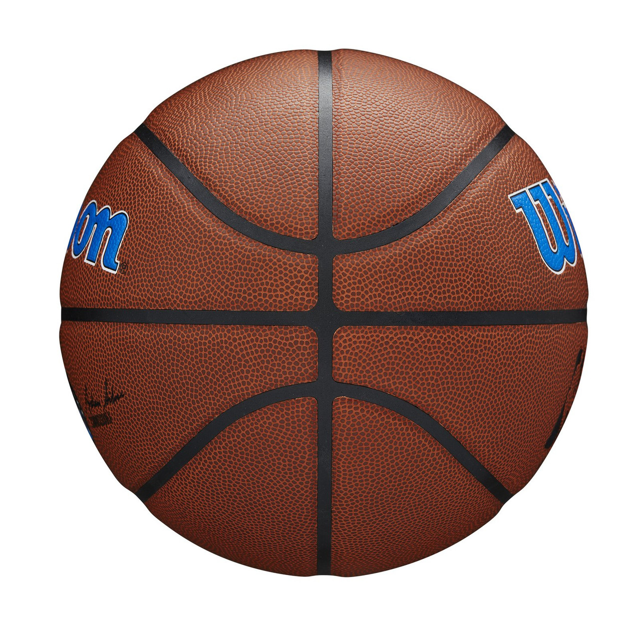 Wilson NBA Alliance Indoor/Outdoor Basketball - Orlando Magic ...