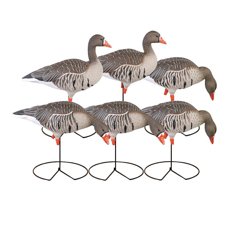 Avery GHG Pro-Grade Specklebelly Goose Harvester Decoys 6 Pack by Banded