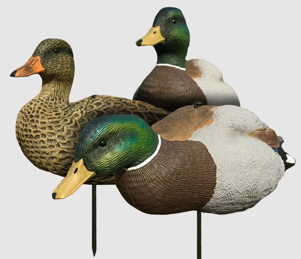 EVAC Series Fullbody Mallard Decoys 6 Pack by White Rock Decoy Company