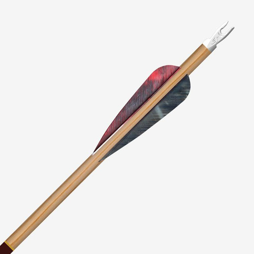 Traditional Series Arrows with 4 Inch Feathers by Gold Tip