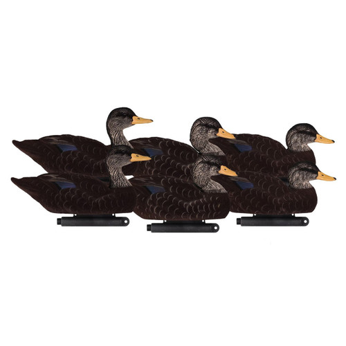 6 Pack X Treme Fully Flocked Black Duck Decoys by Dakota Decoy Company