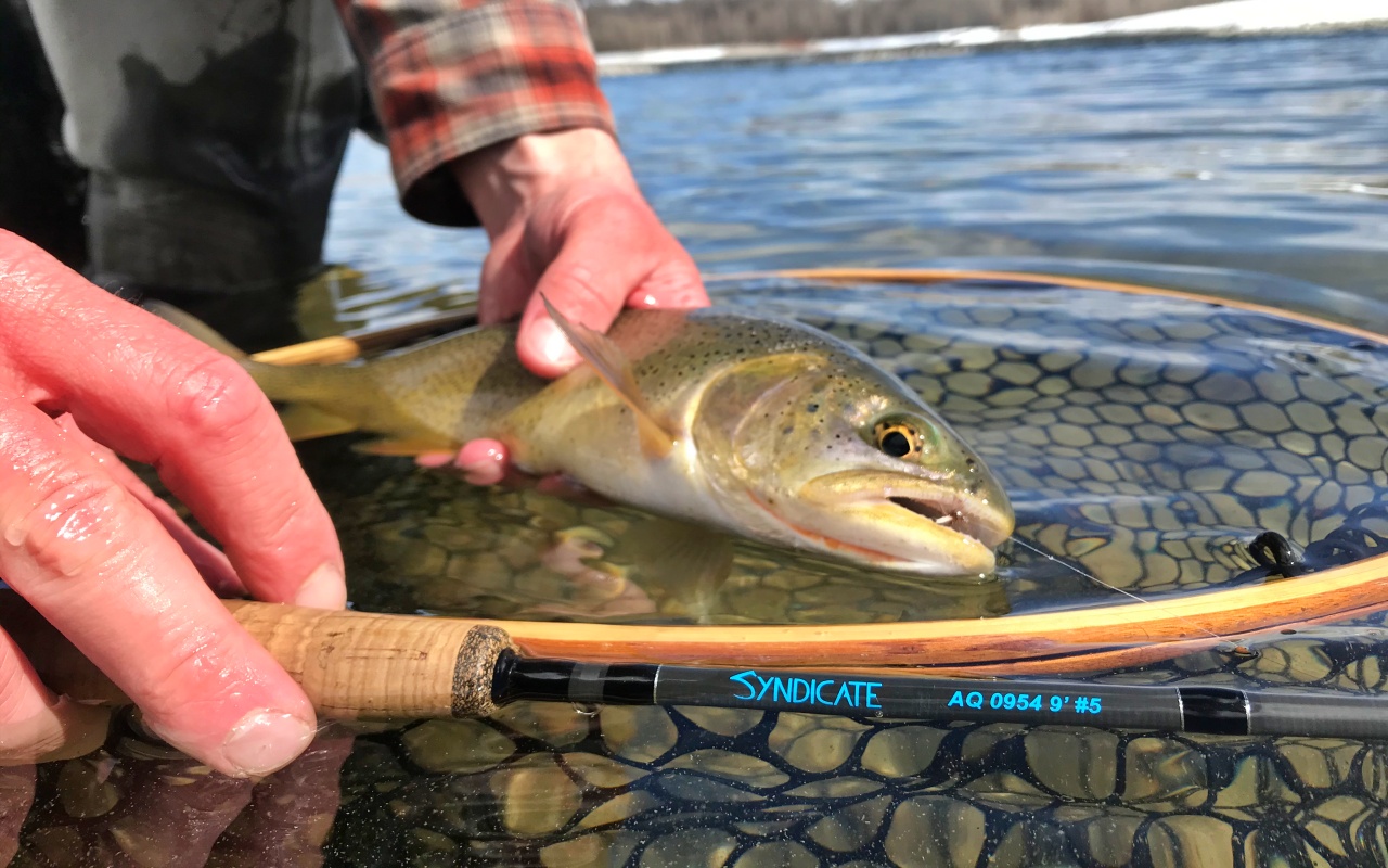 6 Steps to Fishing Dry Flies Effectively - Syndicate