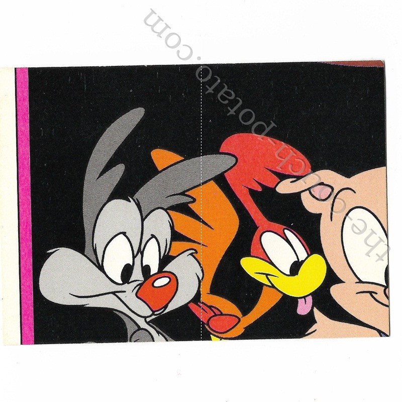 Tiny Toon Adventures Trading Cards