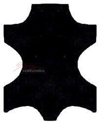 Try Our Leather Samples | Leatherotics US