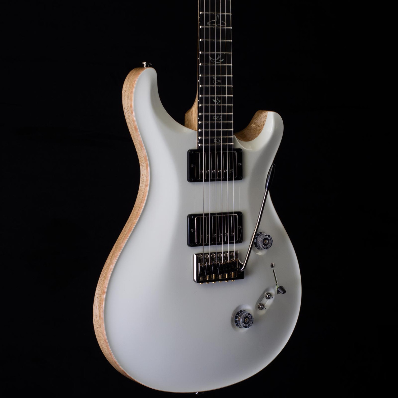 Custom 24-08 Wood Library - paint chip near 3-way switch | Official PRS ...