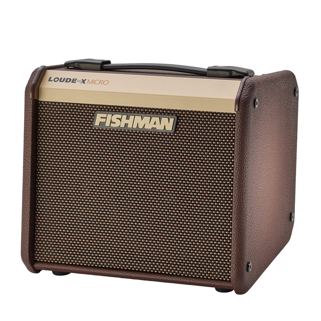 Fishman Loudbox Micro 40w Acoustic Instrument Amplifier at Moore Guitars