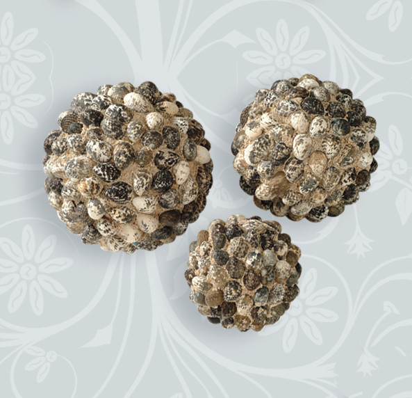 Multi-Colored Sea Shell Balls – Decorative Beach Decor