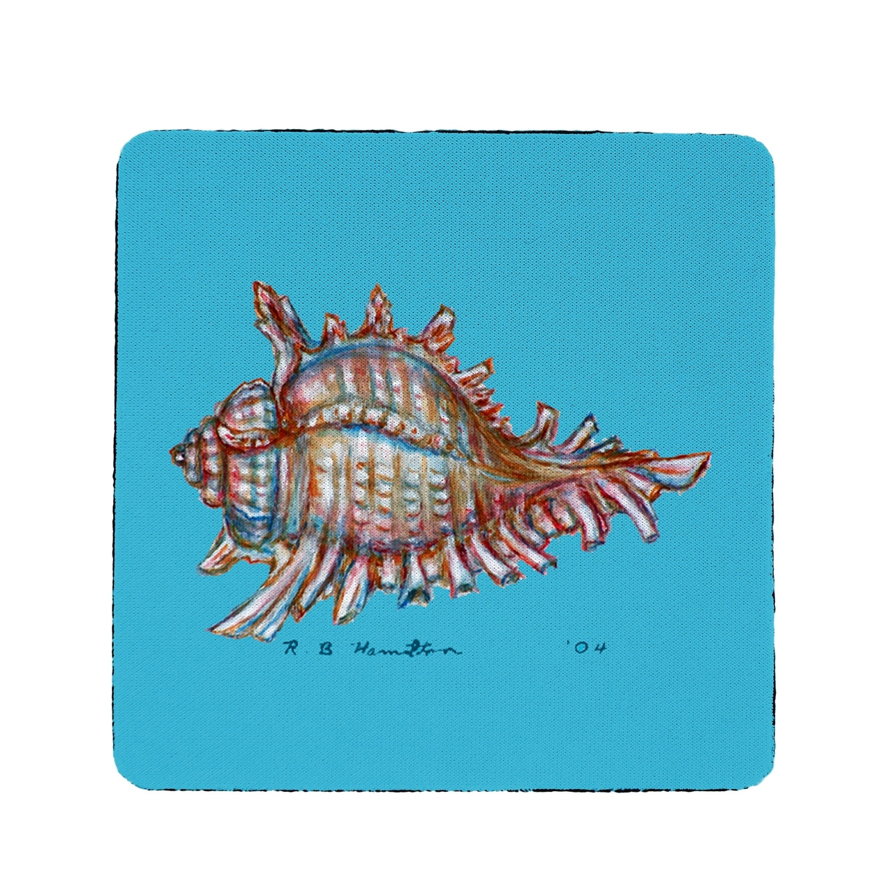 Set of 4 Conch Coasters