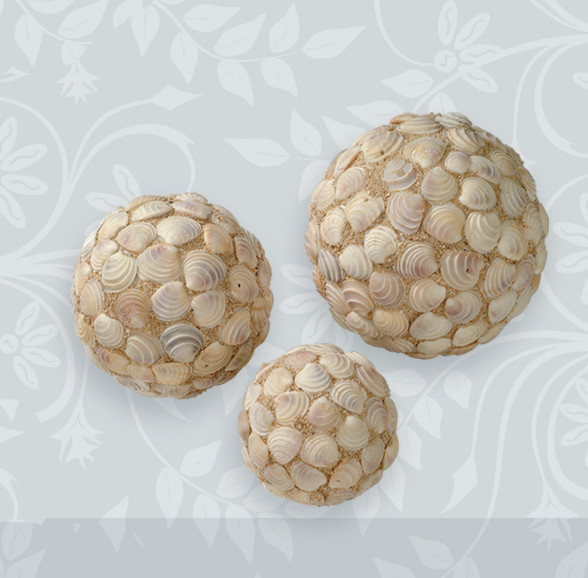 Smooth Shell Decorative Sea Shell Balls