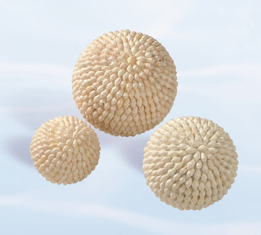 Decorative Seashell Ball, Sea Shell Items & Beach Home Decor