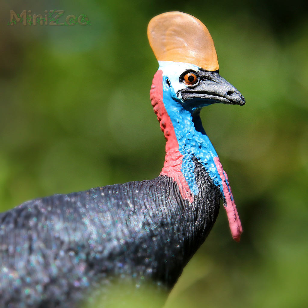 Safari Ltd Cassowary 225429 | Free Shipping