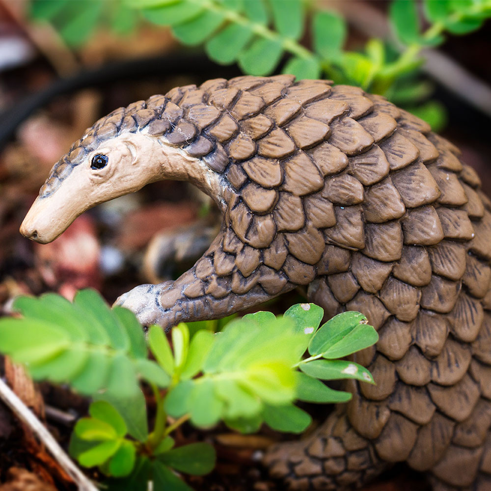 Safari Ltd Pangolin 100268 | Incredible Creatures